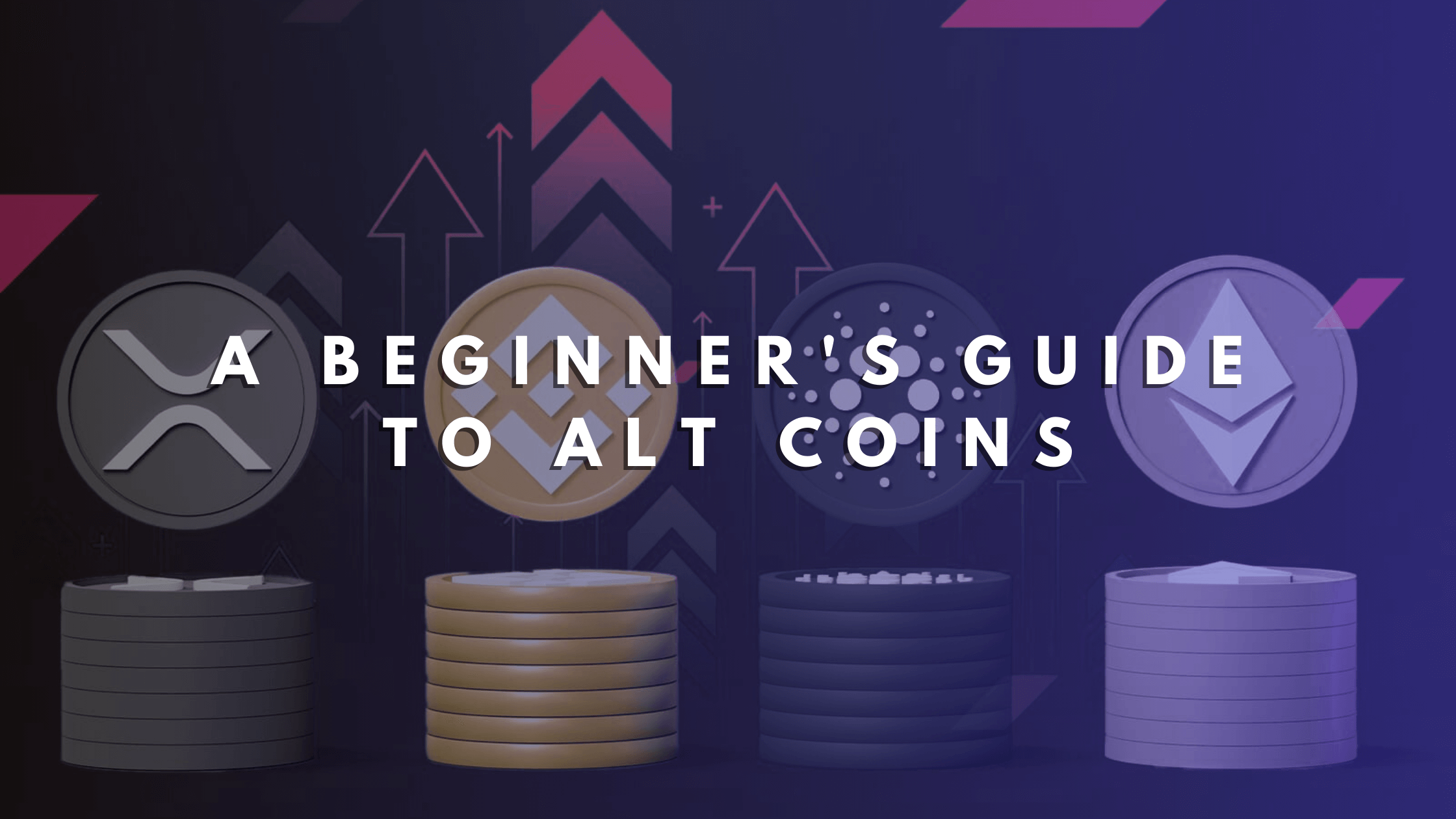 A Beginner's Guide To AltCoins - Crypto Pakistan